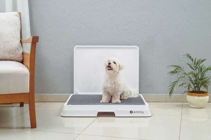 Weasy Smart Dog Potty