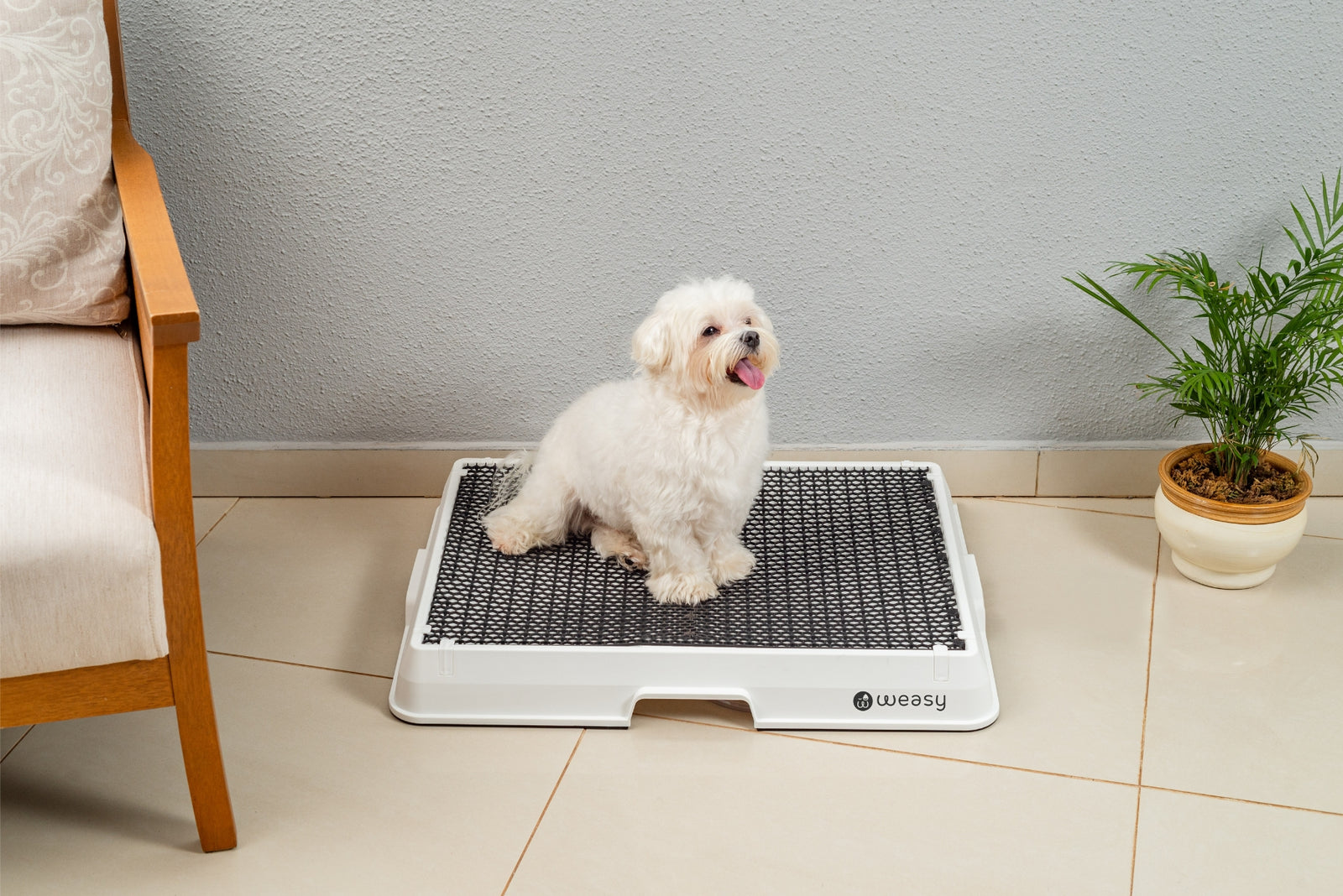 Weasy Smart Dog Potty