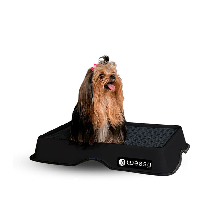Weasy Smart Potty
