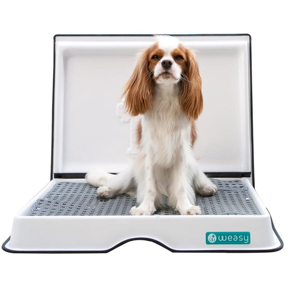 Weasy Smart Potty