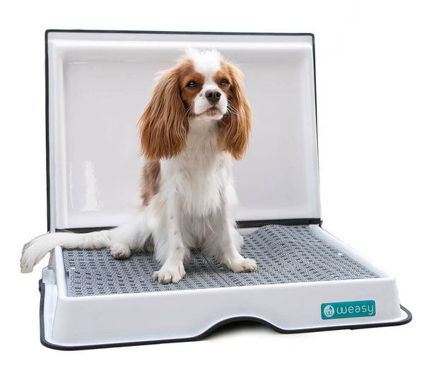 Weasy Smart Potty