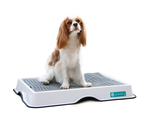 Weasy Smart Potty