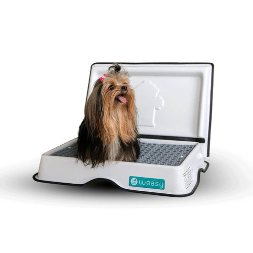 Weasy Smart Potty